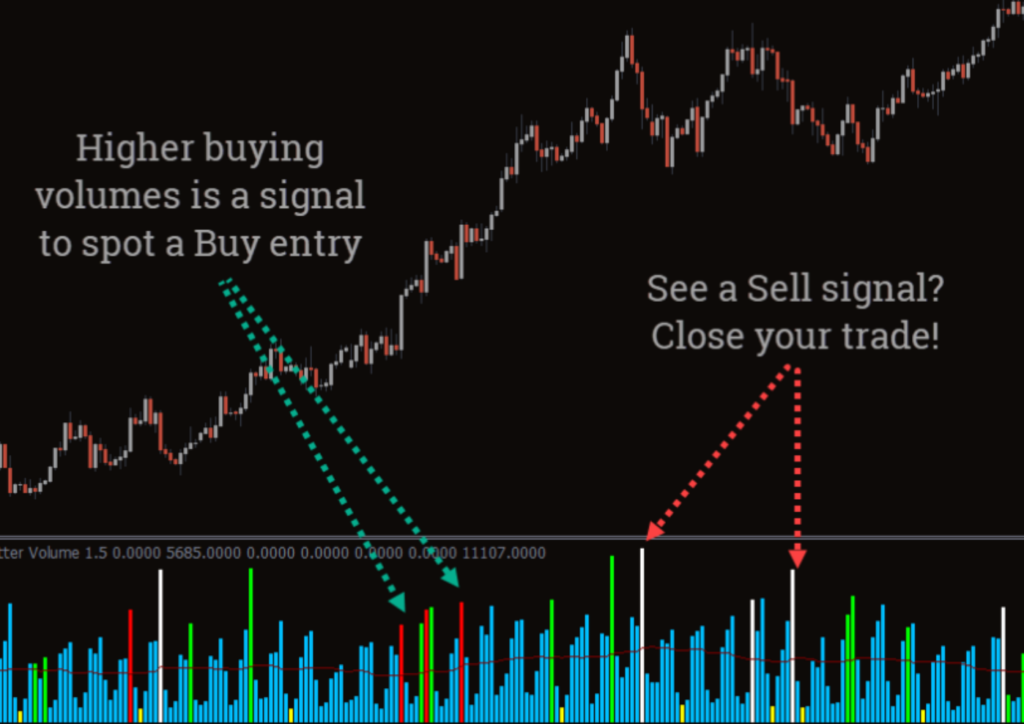 Better Volume Indicator Download - FX141.COM