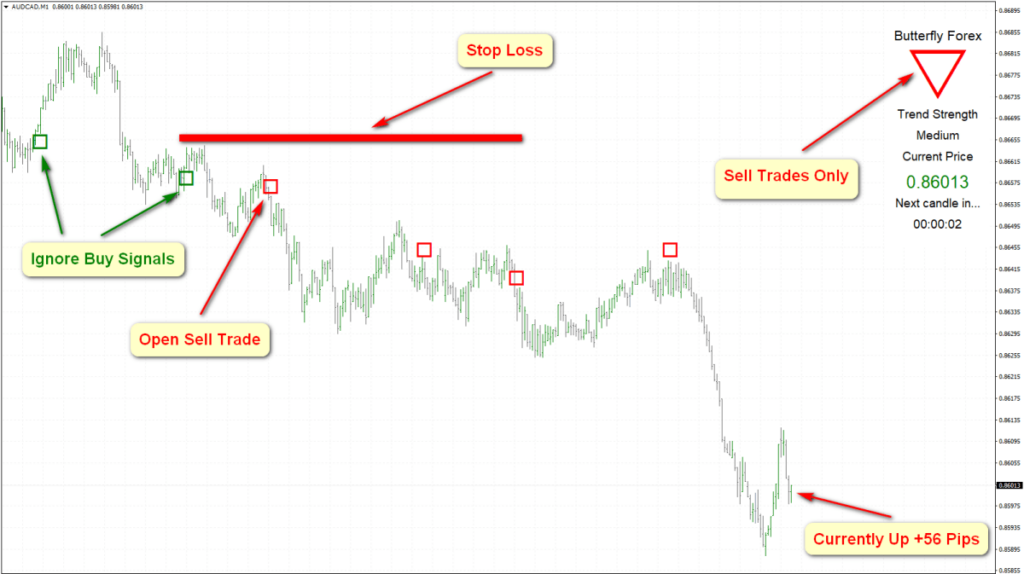 BUTTERFLY FOREX MT4 Indicators Download