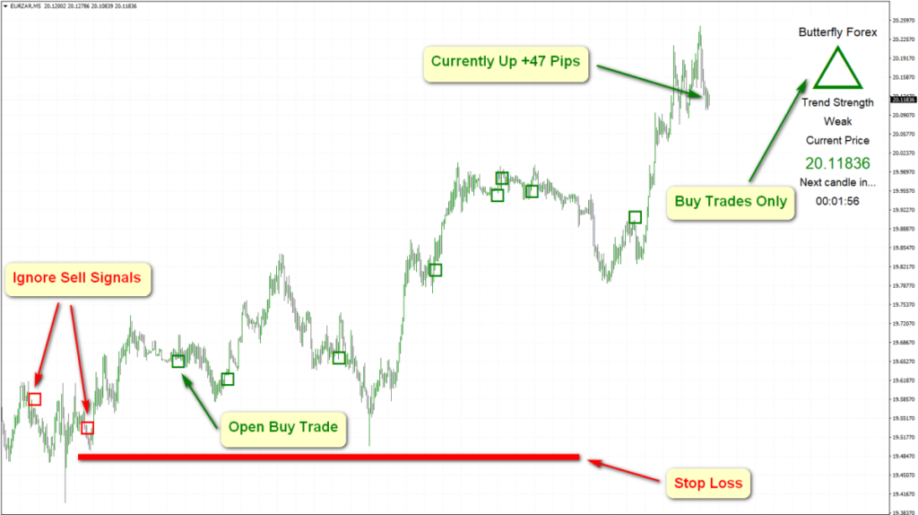 BUTTERFLY FOREX MT4 Indicators Download
